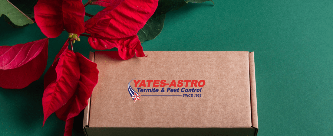 December 2023 Blogs | Yates-Astro Termite & Pest Control